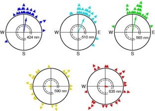 Magnetic orientation and magnetoreception in birds and other animals ...