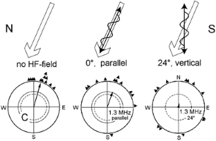 Magnetic orientation and magnetoreception in birds and other animals ...