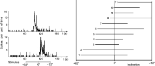 Magnetic orientation and magnetoreception in birds and other animals ...