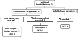 PRETEXT II–III multifocal hepatoblastoma: significance of resection of ...