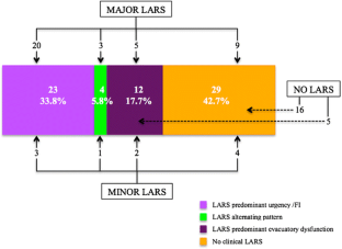 Clinical application of the LARS score: results from a pilot study ...