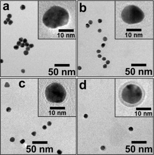 Au nanoparticles coated with chitosan | SpringerLink
