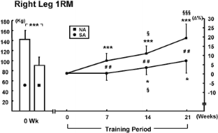 Muscle hypertrophy, hormonal adaptations and strength development ...