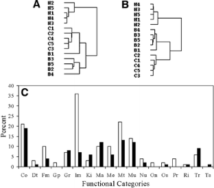 Classification of Dukes' B and C colorectal cancers using expression ...