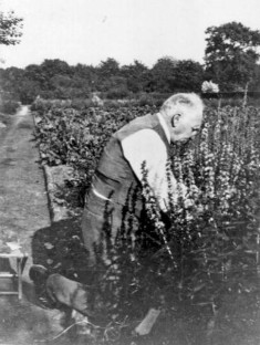 William Bateson, human genetics and medicine | SpringerLink