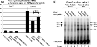 Blue eye color in humans may be caused by a perfectly associated ...