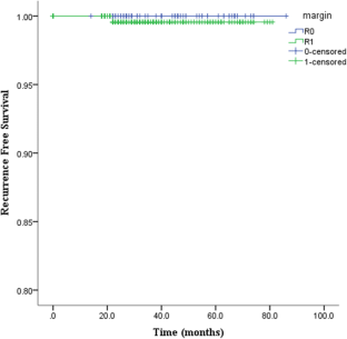 Microscopic positive tumor margin does not increase the rate of ...
