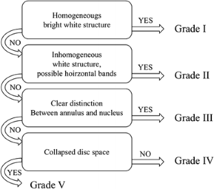 The Pfirrmann classification of lumbar intervertebral disc degeneration ...
