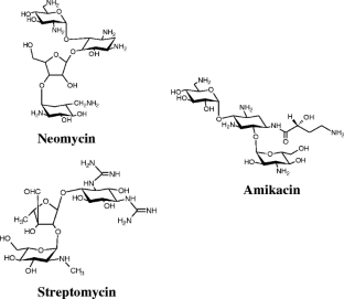 Determination of aminoglycoside antibiotics using an on-chip ...