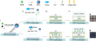 A liquid crystal based method for detection of urease activity and ...