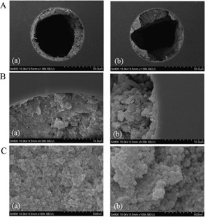 Open-tubular capillary electrochromatography with β-cyclodextrin ...