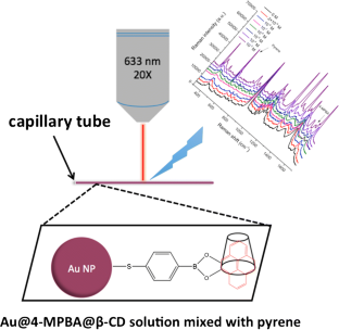 Ratiometric SERS detection of polycyclic aromatic hydrocarbons assisted by β-cyclodextrin ...