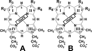 NMR investigation of the heme electronic structure in deoxymyoglobin ...