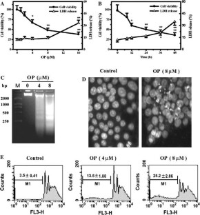Histone hypoacetylation is involved in 1,10-phenanthroline–Cu 2 ...