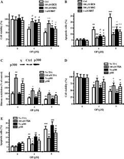 Histone hypoacetylation is involved in 1,10-phenanthroline–Cu 2 ...