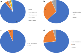 Removal of stones from the superficial lobe of the submandibular gland ...