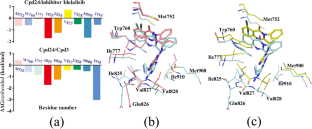 Theoretical studies on the selectivity mechanisms of PI3Kδ inhibition with marketed idelalisib ...