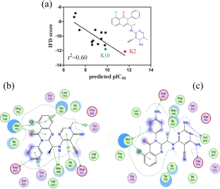 Theoretical studies on the selectivity mechanisms of PI3Kδ inhibition with marketed idelalisib ...