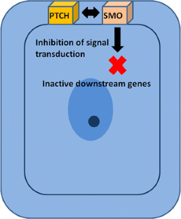Keratocystic odontogenic tumour (KCOT)—a cyst to a tumour | SpringerLink