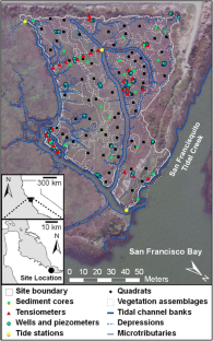 Relationship of Salt Marsh Vegetation Zonation to Spatial Patterns in ...
