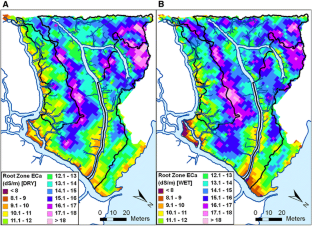 Relationship of Salt Marsh Vegetation Zonation to Spatial Patterns in ...