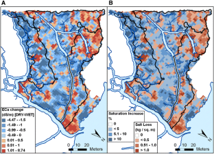 Relationship of Salt Marsh Vegetation Zonation to Spatial Patterns in ...