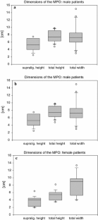 Dimensions of the myopectineal orifice: a human cadaver study ...