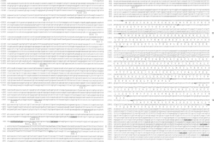 Genomic Cloning of Mud Loach Misgurnus mizolepis (Cypriniformes ...
