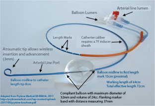 The resuscitative endovascular balloon occlusion of aorta (REBOA ...