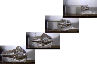 Radically Invasive Projectiles—first reports and imaging features of ...