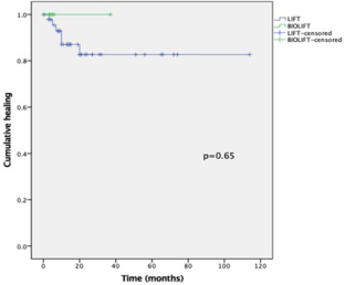 Porcine dermal collagen mesh (Permacol™) as a bioprosthesis in the ...
