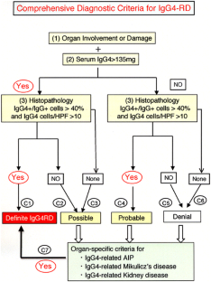 Comprehensive diagnostic criteria for IgG4-related disease (IgG4-RD ...