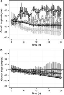 Light-dependent gravitropism and negative phototropism of inflorescence ...