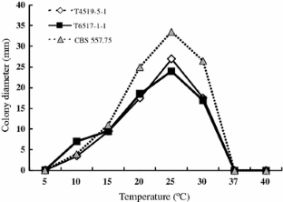 Molecular assessment of fungi in ‘‘black spots’’ that deface murals in ...