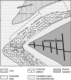 Characteristics of peritidal facies and evidences for subaerial ...
