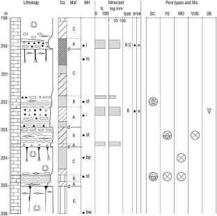 Characteristics of peritidal facies and evidences for subaerial ...