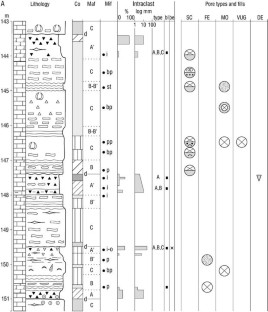 Characteristics of peritidal facies and evidences for subaerial ...