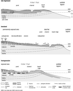 Characteristics of peritidal facies and evidences for subaerial ...