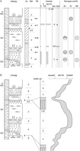 Characteristics of peritidal facies and evidences for subaerial ...