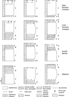 Characteristics of peritidal facies and evidences for subaerial ...