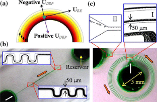 Particle focusing in microfluidic devices | SpringerLink