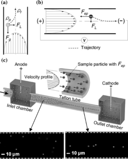 Particle focusing in microfluidic devices | SpringerLink