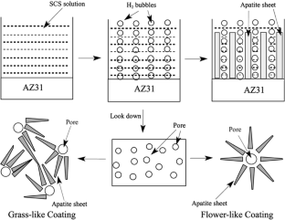 Surface Modifications of Magnesium Alloys for Biomedical Applications ...