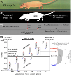 Automated Gait Analysis Through Hues and Areas (AGATHA): A Method to ...