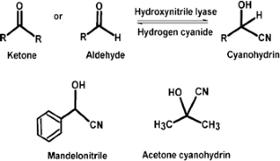 HCN production and hydroxynitrile lyase: a natural activity in plants ...
