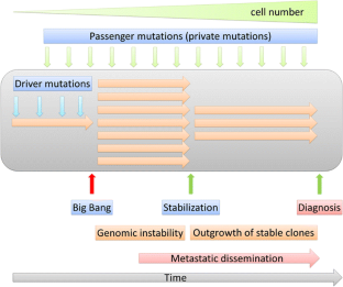 Molecular evolution of colorectal cancer: from multistep carcinogenesis ...