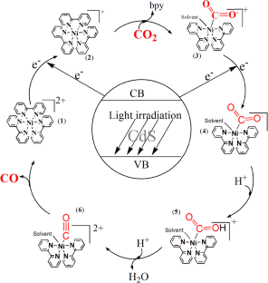 Nickel Bipyridine (Ni(bpy) 3 Cl 2 ) Complex Used as Molecular Catalyst ...