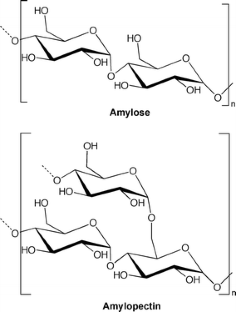 Turning polysaccharides into hydrophobic materials: a critical review ...