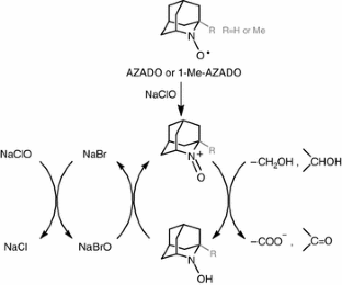Oxidation of wood cellulose using 2-azaadamantane N -oxyl (AZADO) or 1 ...