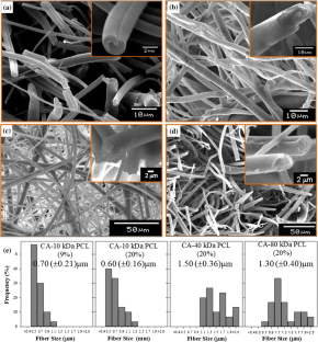Cellulose acetate core–shell structured electrospun fiber: fabrication ...